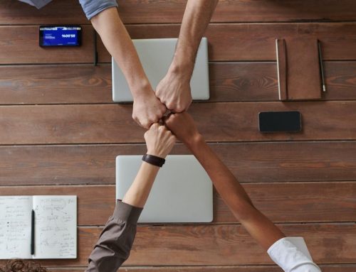 The history and innovative path of SelfDesign Learning Foundation and ...