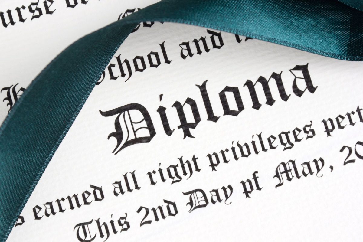 SelfDesign supports learners in meeting their grade 10 and 12 ...