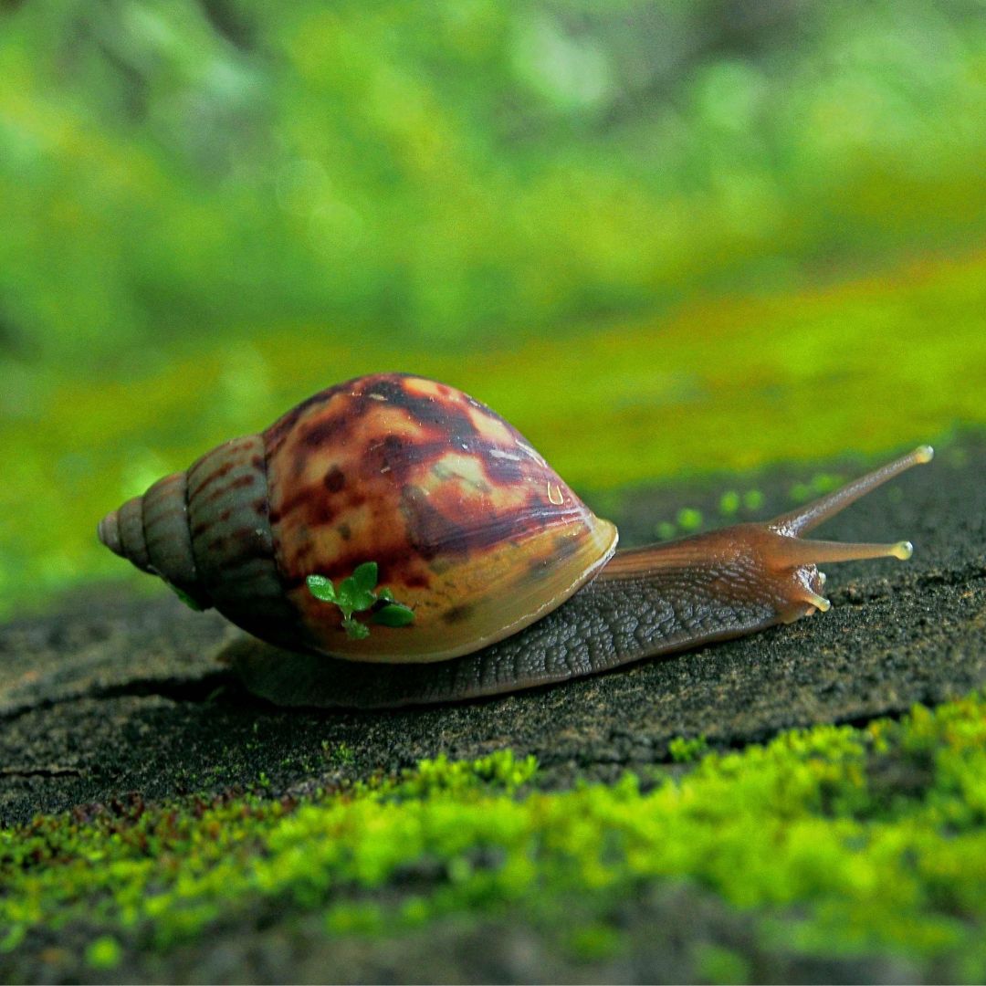 5 Ways to help your kids connect with nature - SelfDesign Learning ...