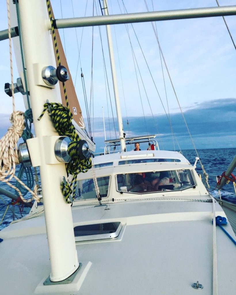 SelfDesign on the high seas: This learner and her sister are combining ...