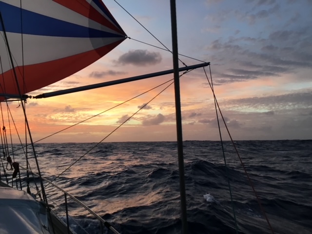 SelfDesign on the high seas: This learner and her sister are combining ...